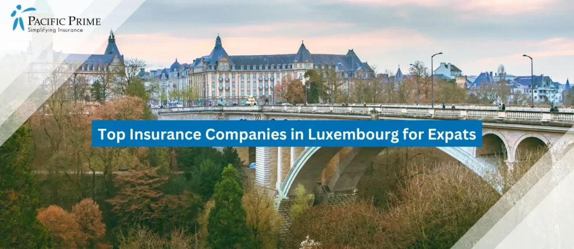 Top Insurance Companies in Luxembourg for Expats