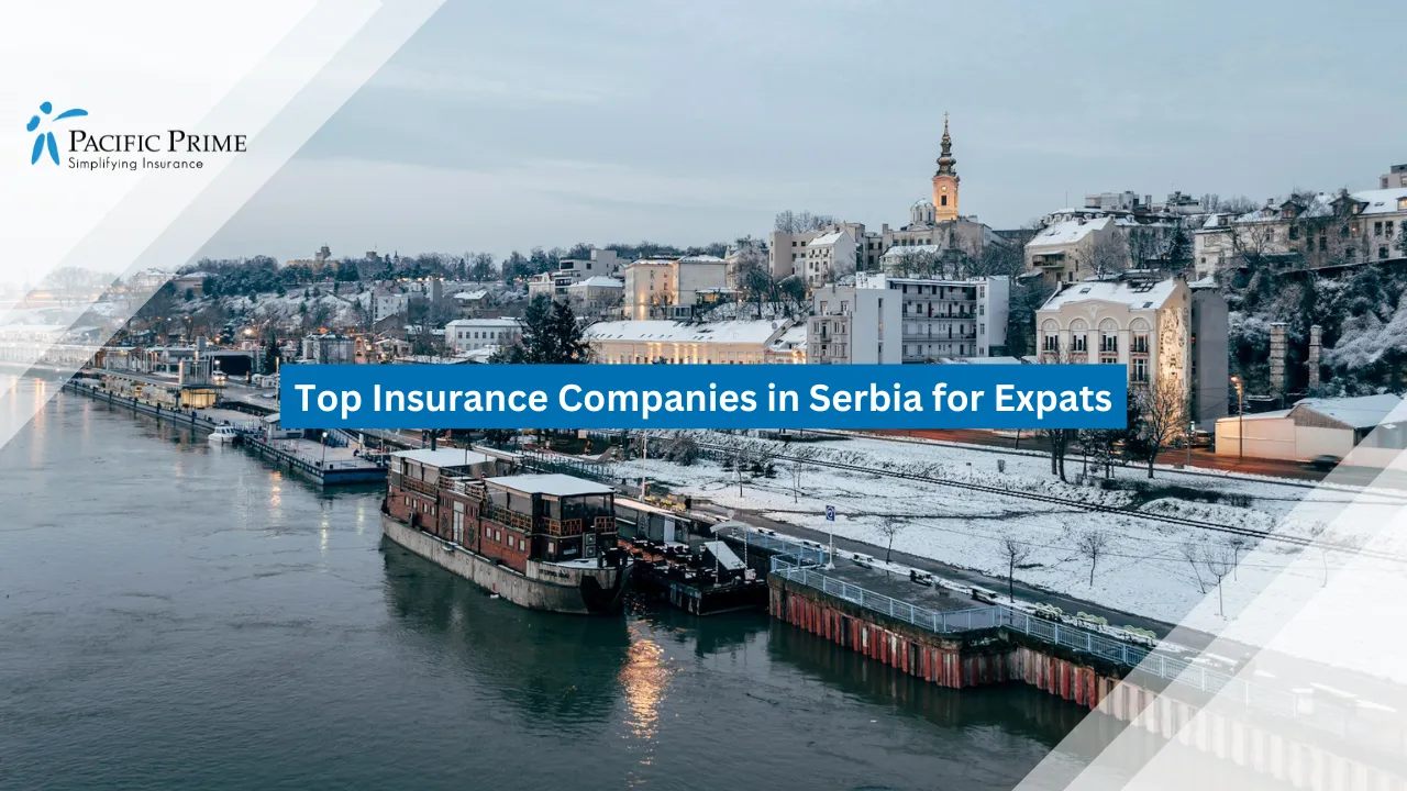 Top 12 Insurance Companies in Serbia for Expats