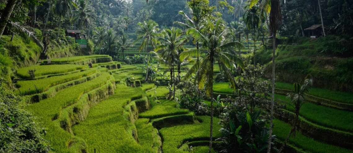 The Best Places To Live In Asia