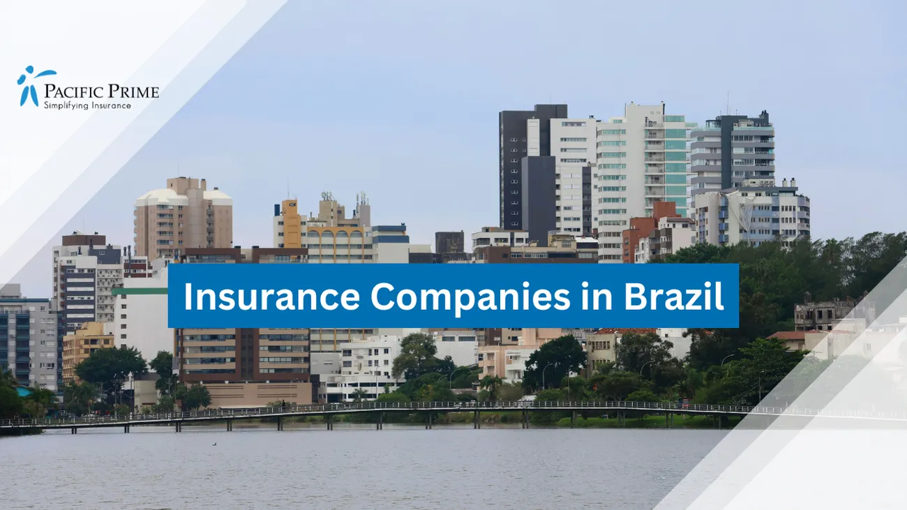 Top 10 Insurance Companies in Brazil for Expats