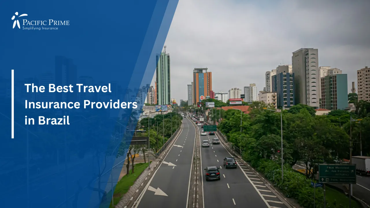 Top Travel Insurance Companies for Brazil