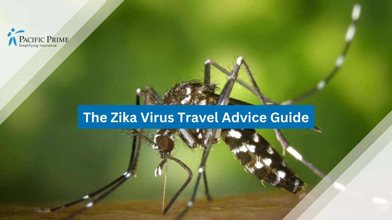 Zika Virus Travel Guide - Updated Guide for International Travel