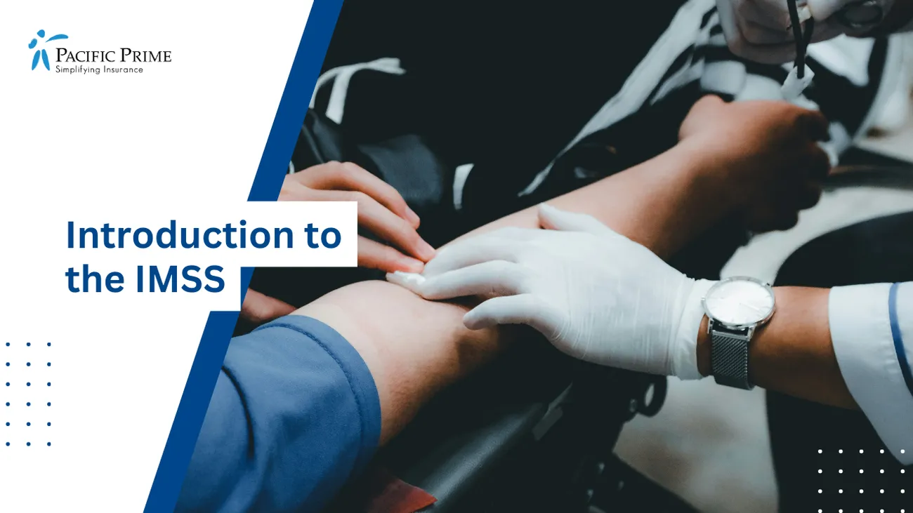 Understanding IMSS: Mexico’s Healthcare System