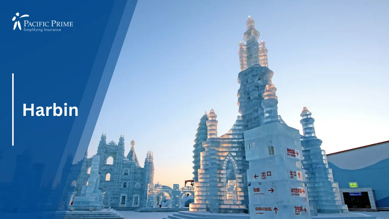 Best Places For Expats To Live In China