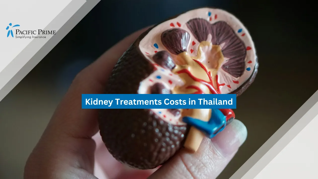 Kidney Treatments Costs in Thailand: Cost and Health Insurance Plans ...