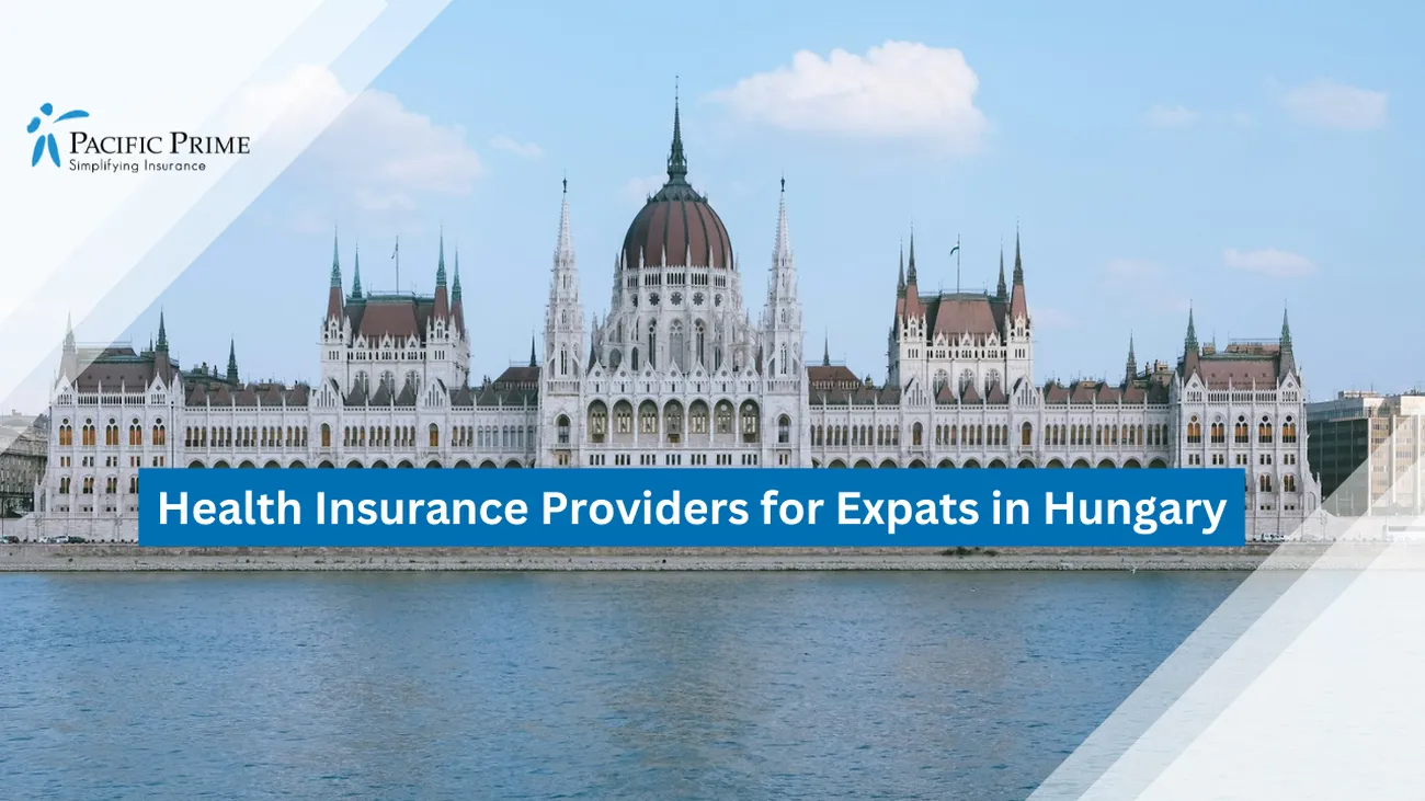 Top Health Insurance Companies in Hungary