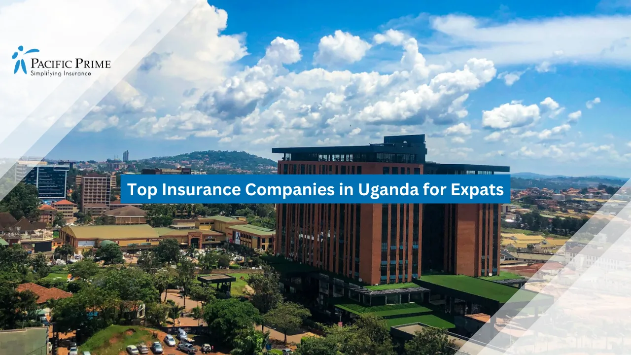 Top 11 Insurance Companies in Uganda for Expats