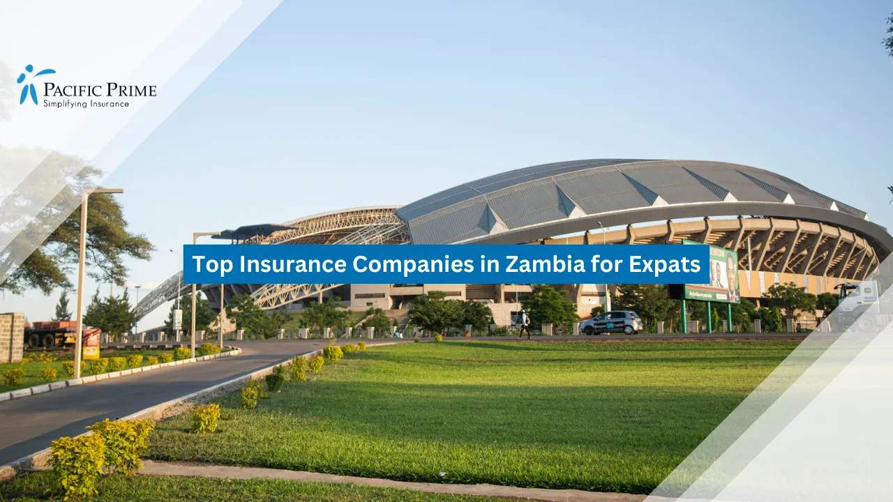 Top 10 Insurance Companies in Zambia for Expats