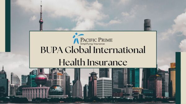 Top 10 International Health Insurance Providers