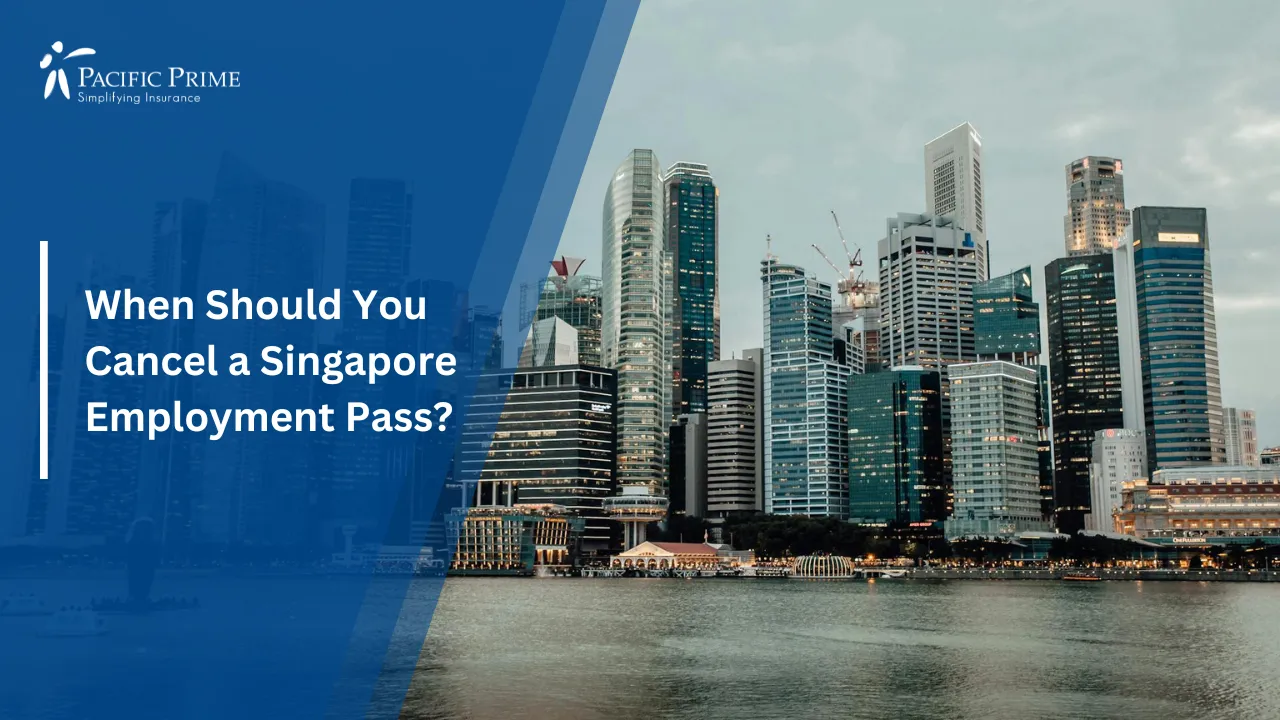 Singapore Work Pass Cancellation Guide