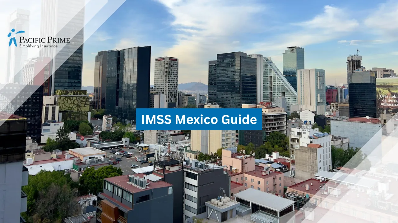 Understanding IMSS: Mexico’s Healthcare System