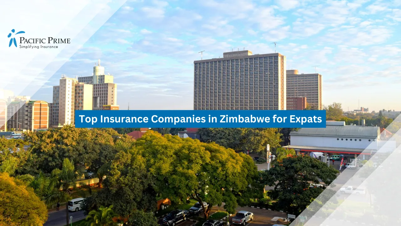 Top 10 Insurance Companies in Zimbabwe for Expats