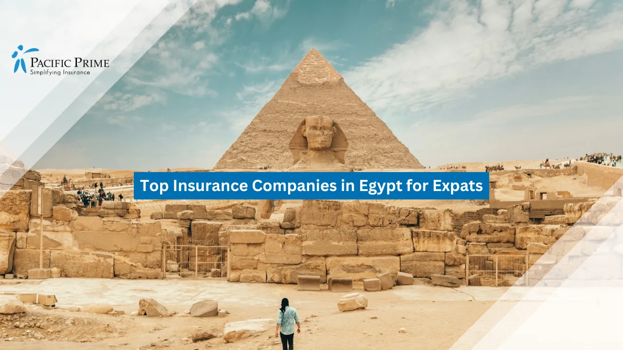 Top 10 Insurance Companies in Egypt for Expats