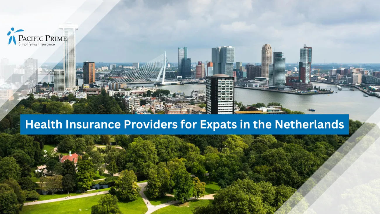 Top 10 Insurance Companies in The Netherlands for Expats